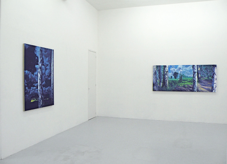 Alice STEPANEK & Steven MASLIN Tour*Redetour - Galerie Richard
